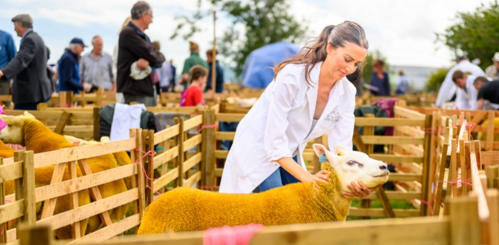 Egton Horse and Agricultural Show 2025 | What's on in Yorkshire