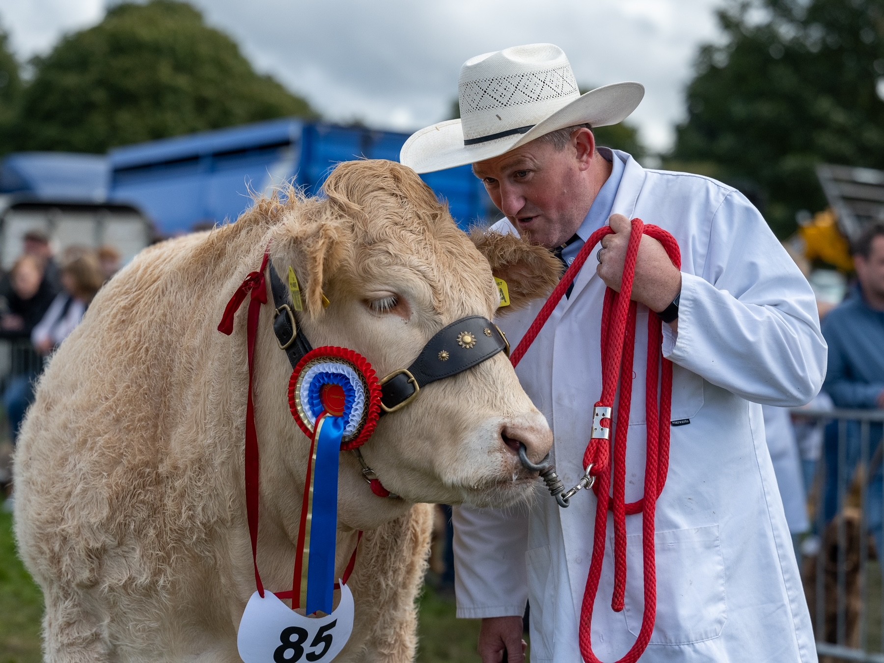 Stokesly Show 2025 | What's on in Yorkshire